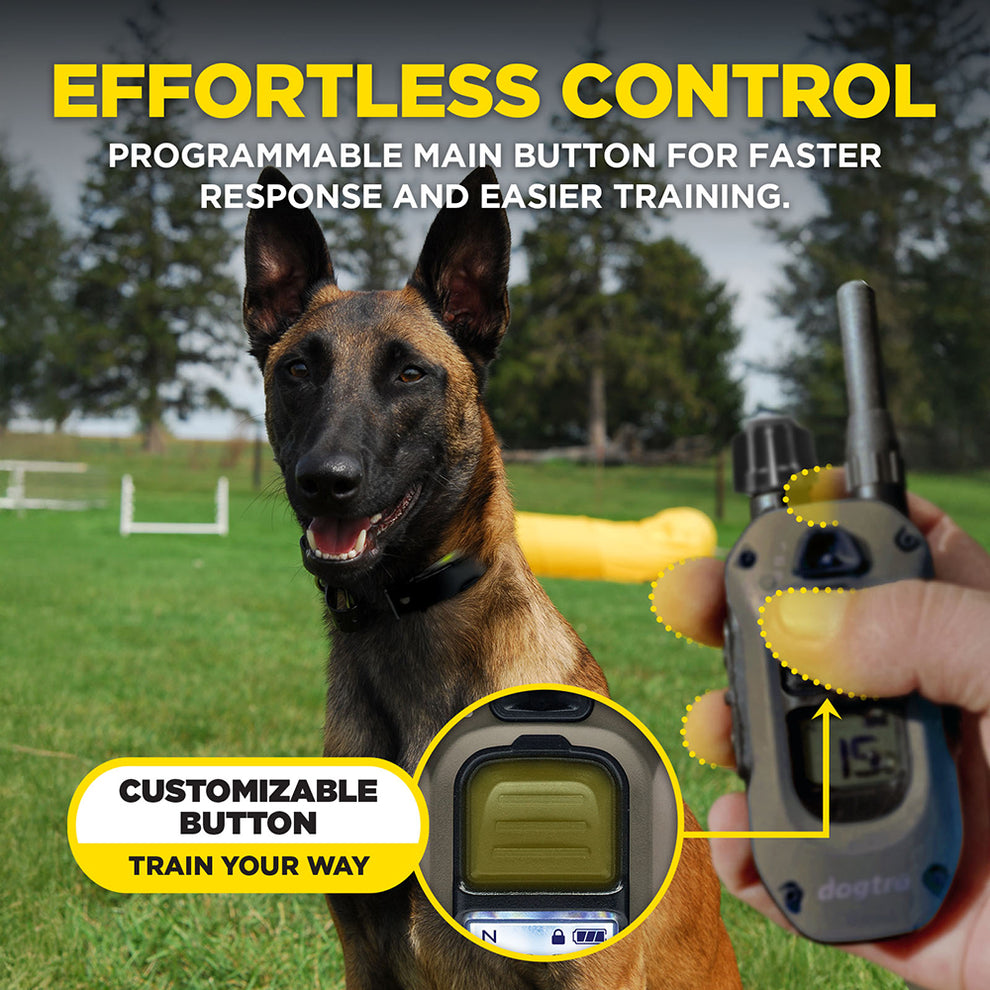 Dogtra ARC - X Dog Training Collar – Dogtra Australia